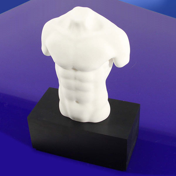 Torso Award | EFX Bespoke Awards and Trophies