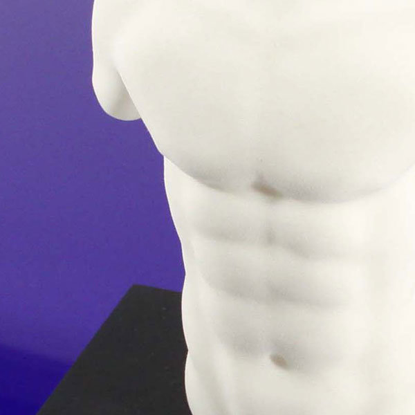 Torso Award | EFX Bespoke Awards and Trophies