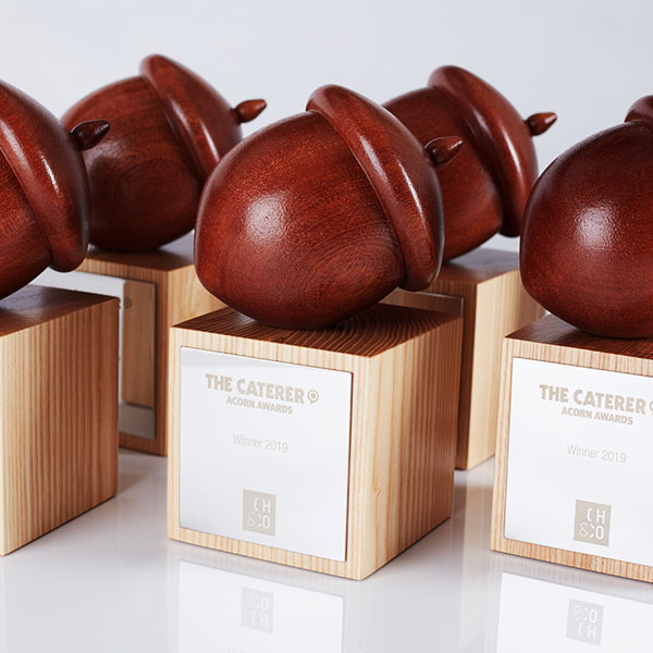 Acorn Award | EFX Bespoke Awards and Trophies
