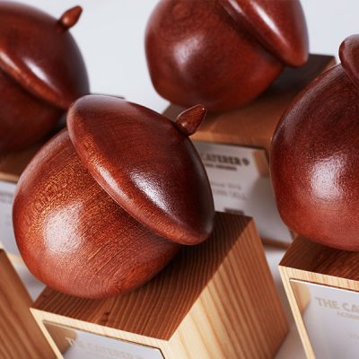 Acorn Awards - EFX