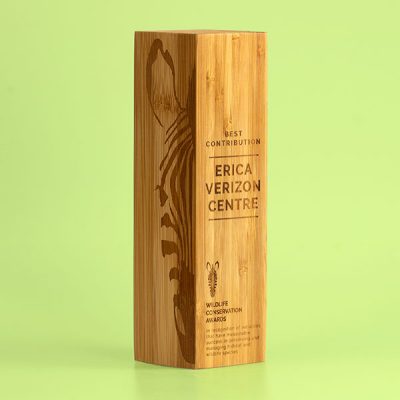 Column Bamboo Trophy - EFX