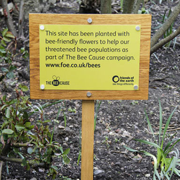 Bee Saver Kits are Part of the Friends of the Earth Bee Campaign