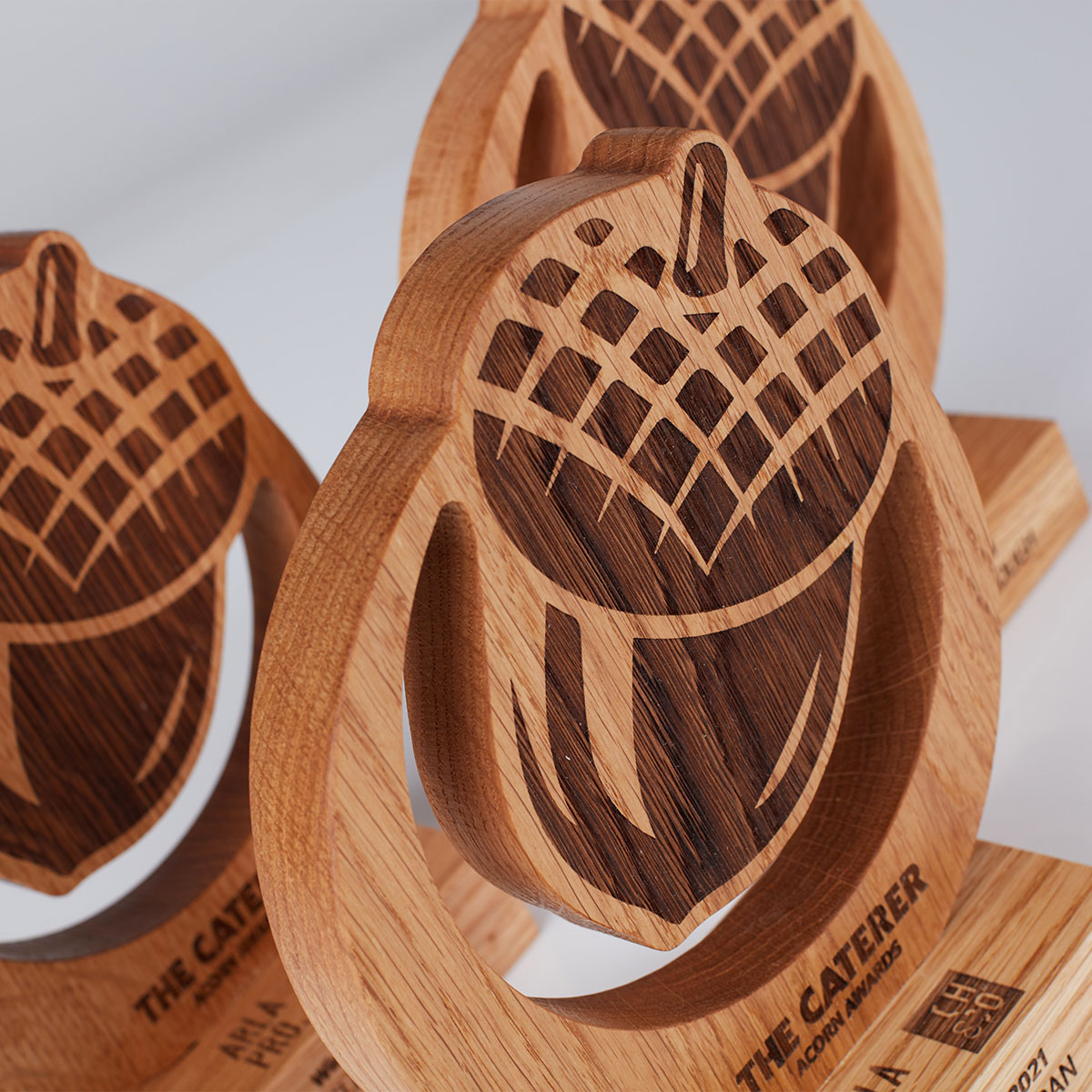 Acorn Award - EFX
